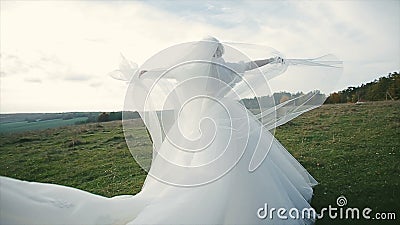 Bride S Bridal Veil Blowing in the Wind Stock Footage - Video of ...