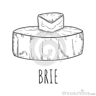 Brie Cheese Dairy Product Snack Sketch Drawing Cartoon Vector ...