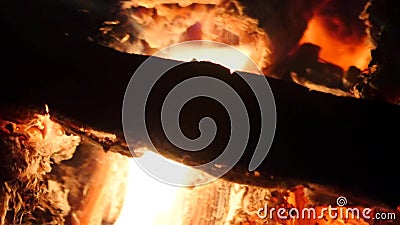 Bright Burning Wood in Campfire. Glowing Wood Logs and Coals in Fire ...