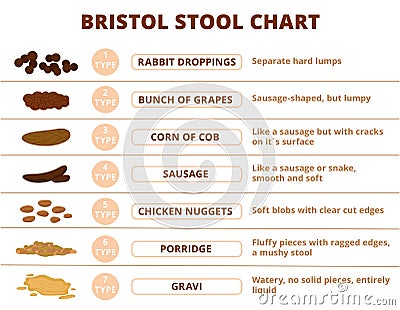 Bristol Stool Scale, Poop Types Infographic. Digestive Problems Medical ...