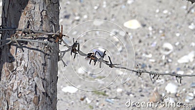 Broken barbed wire fence stock video. Video of dark - 157967287