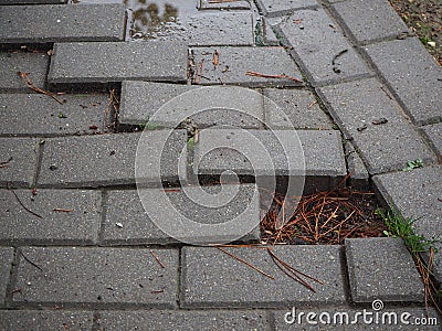 Broken Concrete Pathway Brick Surface Background, Close Up Abstract ...