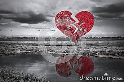 Broken Heart Tree. Black And White Royalty-Free Stock Photo ...