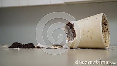 Broken Tea Cup Laying on the Kitchen Floor, Smashed Coffee Mug and ...