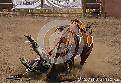 Rough Ride stock image. Image of chestnut, crash, bronco - 762297