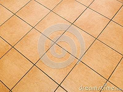 Brown Ceramic Floor Tiles Stock Photography | CartoonDealer.com #46139180