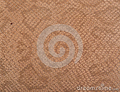 Colorful Snake Natural Pattern On A Background Stock Image ...