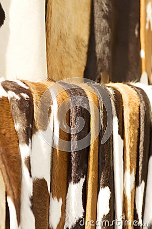 Brown Cow Fur Background Stock Photography | CartoonDealer.com #31352108