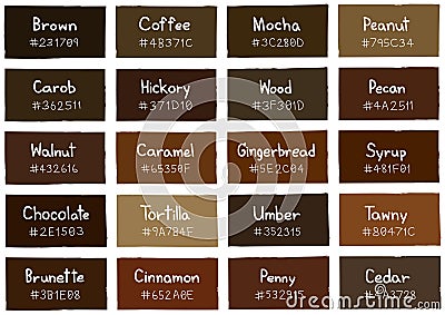 Brown Tone Color Shade Background With Code And Name Stock Vector ...