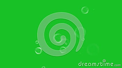 Bubbles on Green Screen Background Motion Graphic Effects . Stock Video ...
