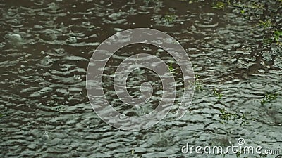 Bubbles from the Rain in a Puddle Stock Footage - Video of motion ...