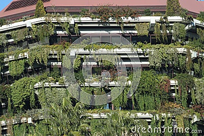 Building Covered By Plants Royalty Free Stock Photos - Image: 7337178