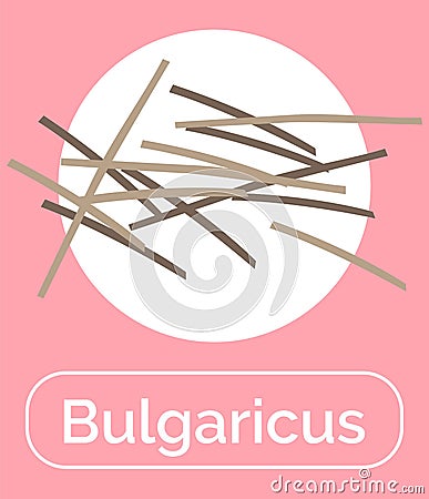 Bulgaricus Probiotics For Human Digestive System Vector Illustration ...