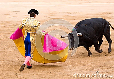 Bullfighter and Bull in a Standoff Stock Photo - Image of bull, life ...