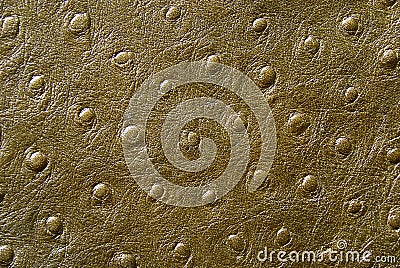 Bumpy Leather Texture Royalty Free Stock Images - Image: 6459719