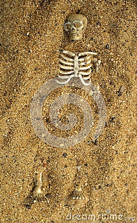 Buried Skeleton Bones In The Sand Royalty Free Stock Photography ...