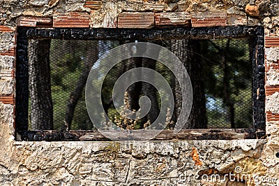 Burned Window Frame Forest View Stock Image | CartoonDealer.com #23502847