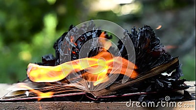 Burning Book on Fire Flames Stock Footage - Video of smoke, black ...