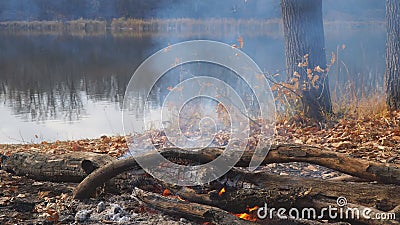 Burning Campfire on the Shore of an Autumn Forest Lake Stock Footage ...
