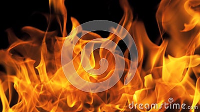 Burning Fire Flames Full Screen Stock Video - Video of conflagration ...