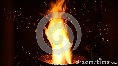 Burning Fire. Large Fire Burning Stock Footage - Video of danger ...