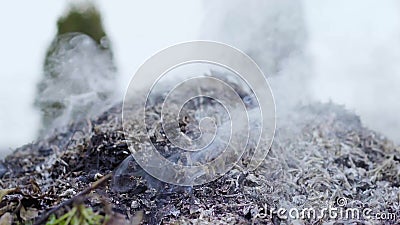 Burning Fire, Smoke from the Ashes Stock Footage - Video of fireplace ...