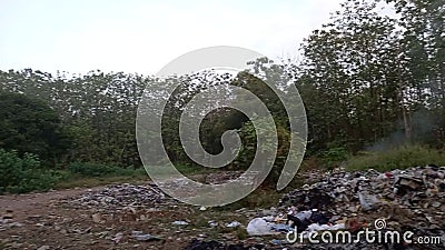 Burning Garbage Causes Air Pollution Stock Video - Video of frame, pain ...
