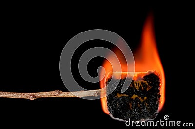 Burning Marshmallow On A Stick Royalty Free Stock Image - Image: 21765476