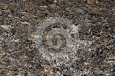 Burnt Ground Stock Images - Image: 19142204