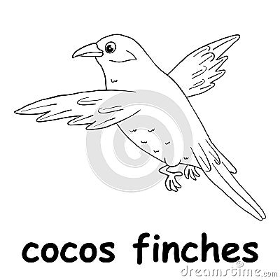 Kids Line Illustration Coloring Cocos Finches. Animal Are Just Lines ...