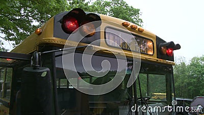 Bus hazard lights (2 of 2) stock video. Video of language - 64710487