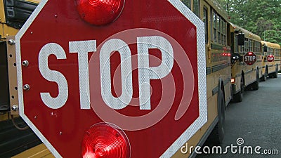 Bus Stop Sign with Hazard Lights on. (4 of 5) Stock Footage - Video of ...
