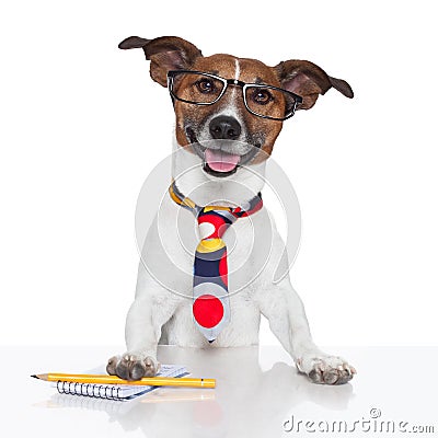 Business Dog Typewriter Stock Images - Image: 26417544