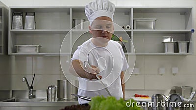 Busy Cooks and Kitchen Chef Working in Professional Kitchen Stock ...