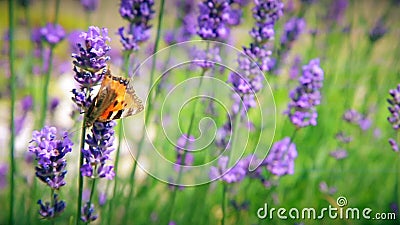 Glacier Pools Preserve (5) Picture. Image: 84926563