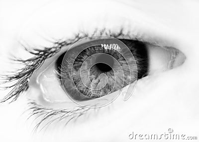 BW Eye Royalty Free Stock Images - Image: 813609