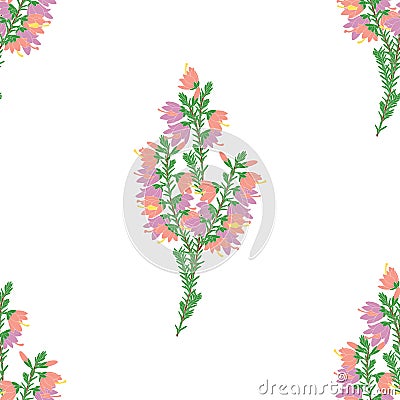 Purple And Pink Heather Flowers Or Calluna Seamless Pattern Background ...