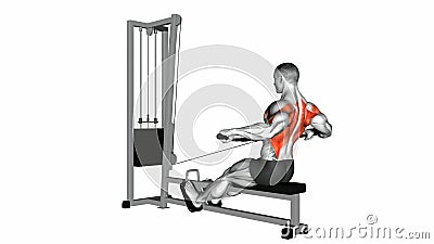 Cable Seated Wide-grip Row Exercise Stock Footage - Video of ...