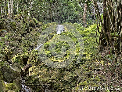 Cahabon River, Forms Numerous Cascades, Semuc Champey, Guatemala ...