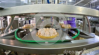 Cake on an Automated Conveyor Line. the Process of Creating a Cake on a ...