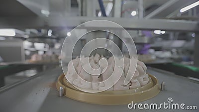 Cake Production. Production of Cakes in a Modern Factory. Cake on the ...