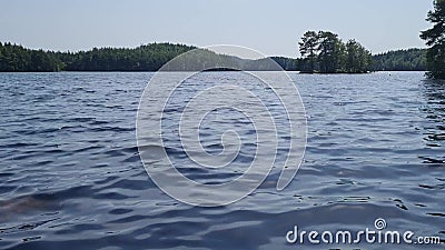 Calming waves from lake stock footage. Video of tree - 259855868