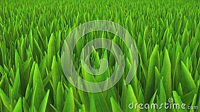 Camera Horizontal Movement on a 3d Grass Field Looping Stock Video ...