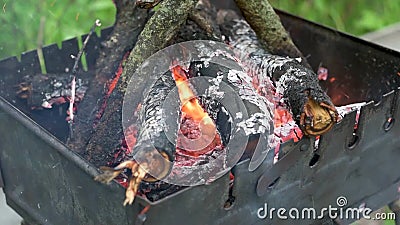 Campfire in the Grill for Cooking Bbq, Fire Flames. Stock Video - Video ...