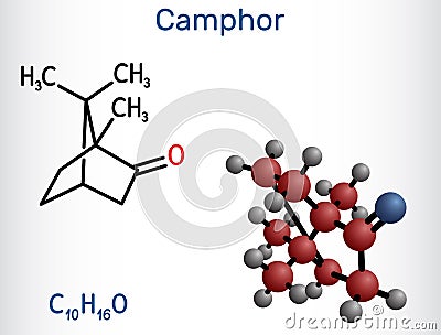 Camphor Molecule. It Is Terpenoid And A Cyclic Ketone. Structural ...