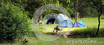 Camping In Australia Stock Photo - Image: 4507640