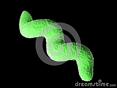 A Campylobacter Bacteria Royalty-Free Cartoon | CartoonDealer.com ...