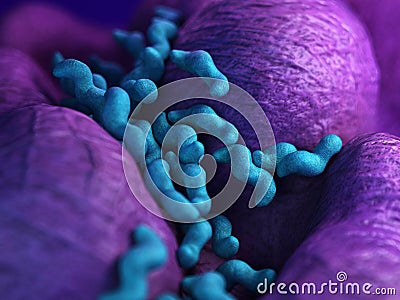 The Campylobacter - Close Up Royalty-Free Cartoon | CartoonDealer.com ...