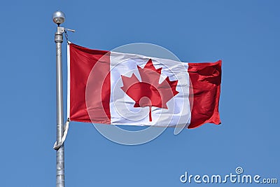 Canada National Flag Stock Photography | CartoonDealer.com #24905384