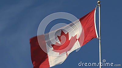 Flag of Toronto, Canada stock video. Video of blue, ensign - 102727077